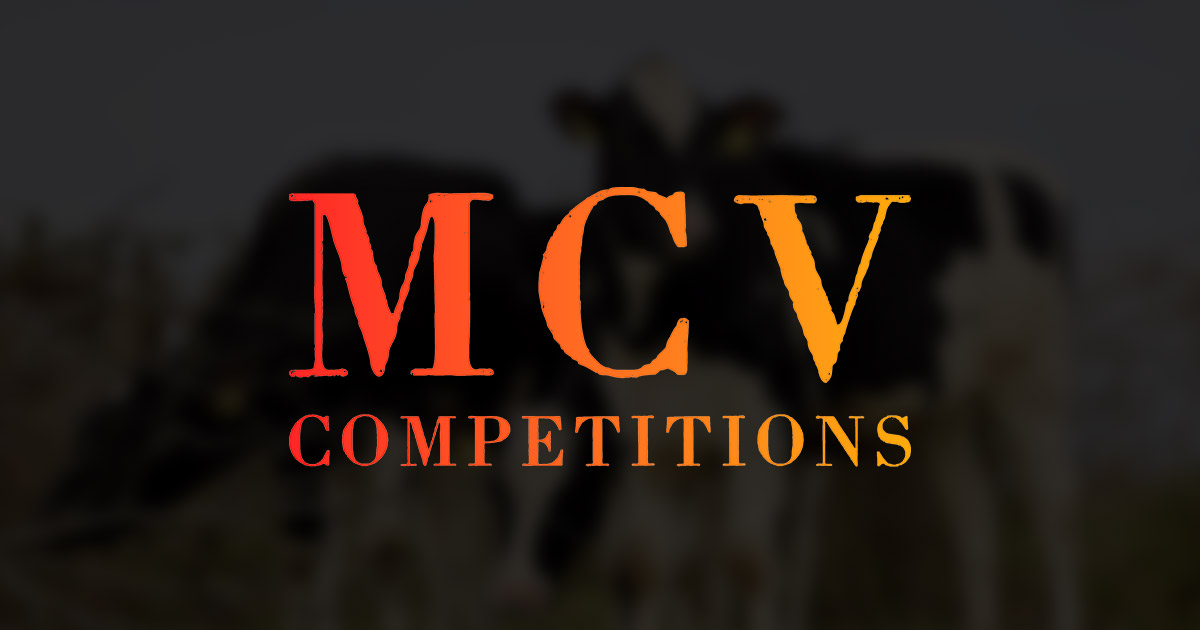 4 X Smyths Smashers Suftex Show Ewe Lambs Winner - MCV Competitions